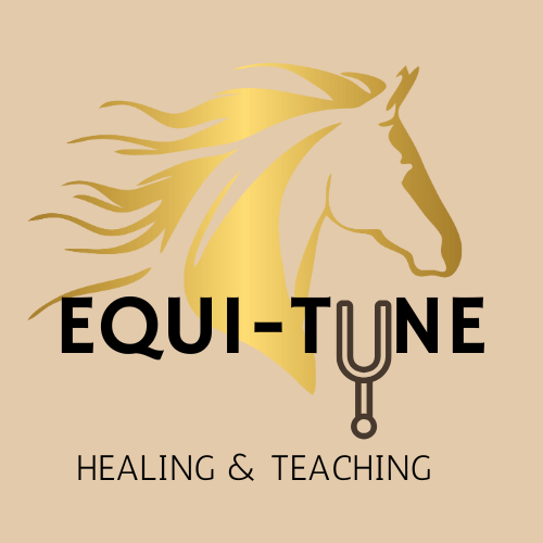 Equi-Tune: focus op de samenwerking tussen jou en je paard